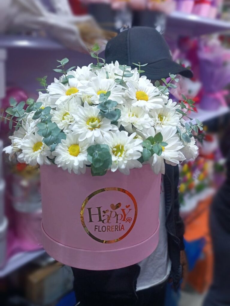 Box Margarita - Happyflor